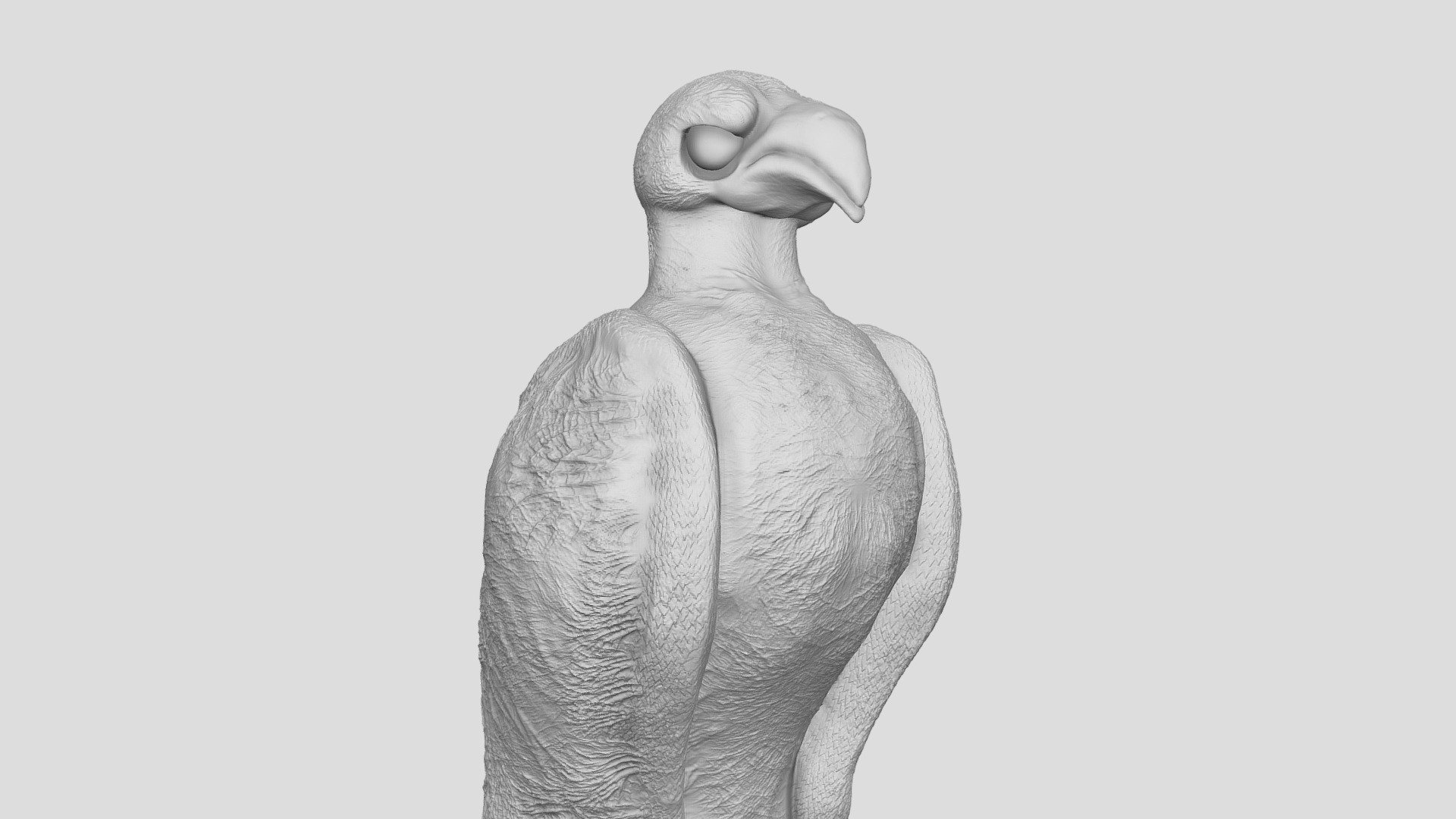 bird sculpt - Download Free 3D model by jaimesthecreator ...