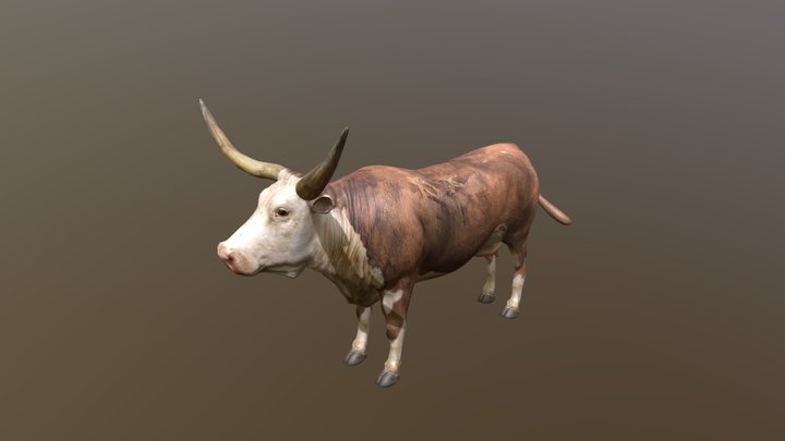 Cow 3D models - Sketchfab