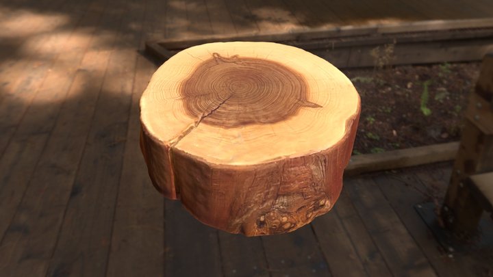 Branch 3D models - Sketchfab