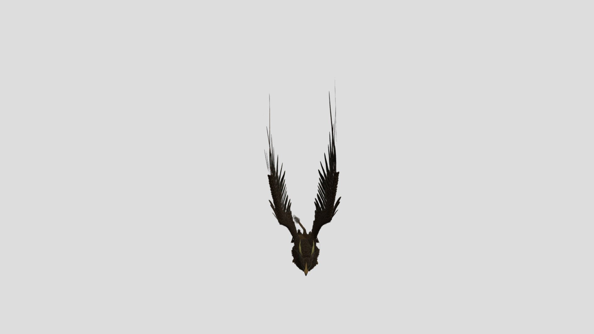 Griffin fly - Download Free 3D model by LostBoyz2078 (@LostModels2025 ...