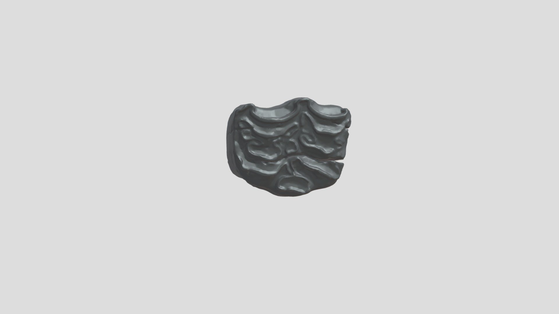 Nannippus peninsulatus - Download Free 3D model by greghellard [eb70945 ...