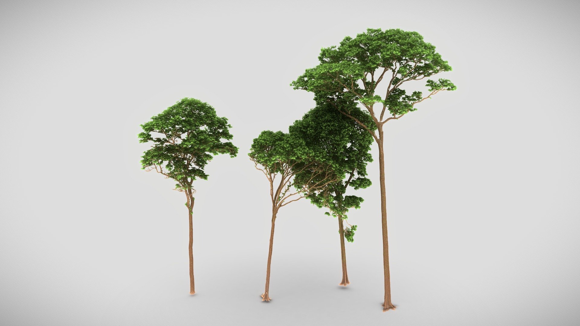 Trees harvested in Caxiuanã for Burt et al. 2020 - 3D model by kungphil ...