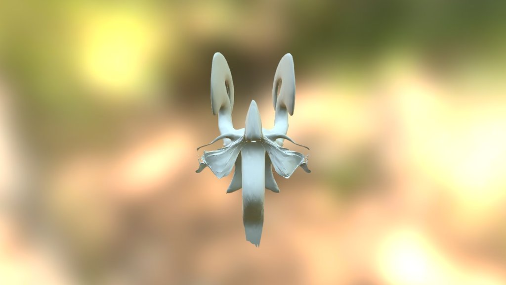 1984 - 3D model by leopoly1 [eb76cdb] - Sketchfab