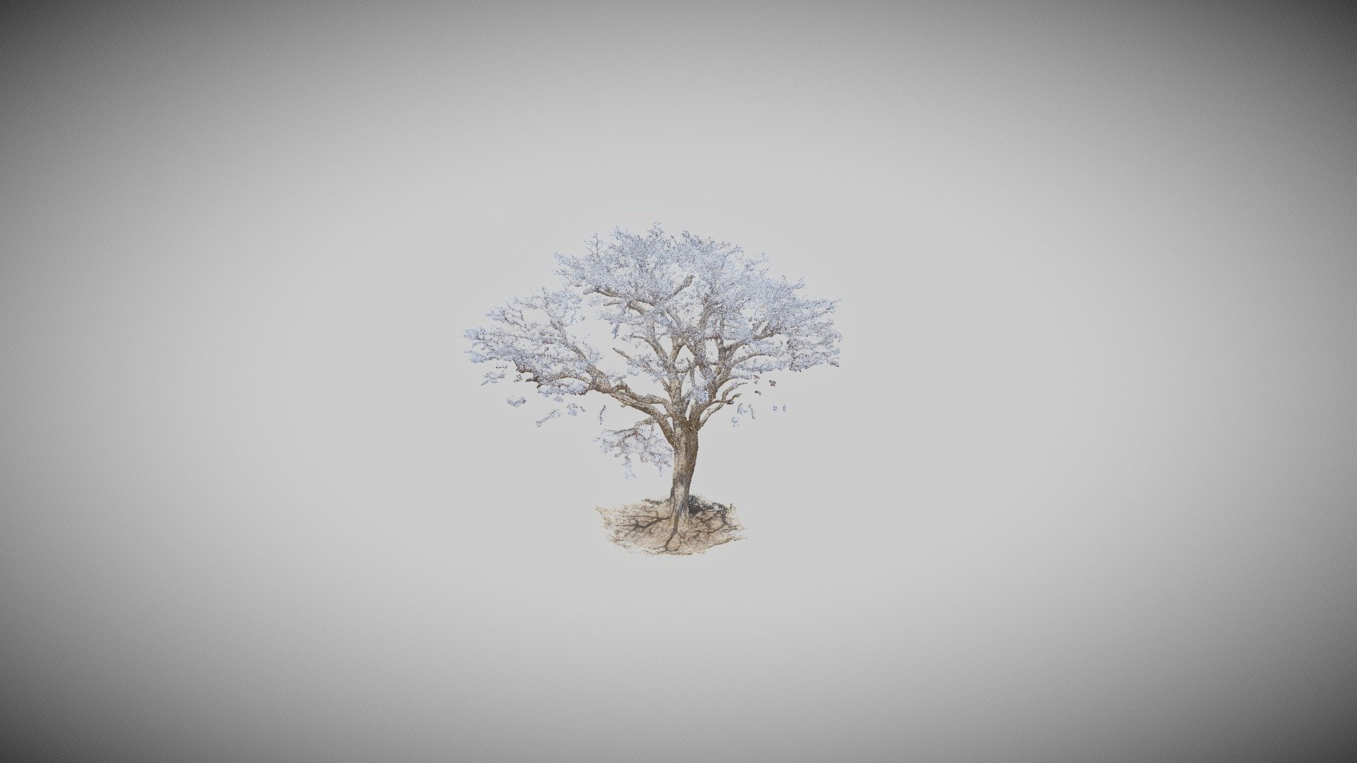 Tree02_Low - 3D model by S.Elverdinghe [eb79607] - Sketchfab