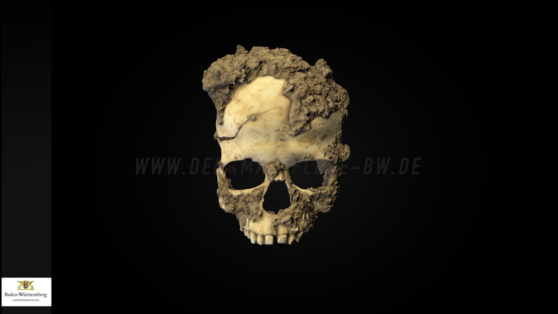 Skull Mask | Schädelmaske - 3D model by LAD BW (@ladbw) [eb7fca9 ...