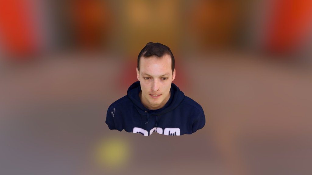 Person (42) - 3D model by techswap3d [eb8cdda] - Sketchfab