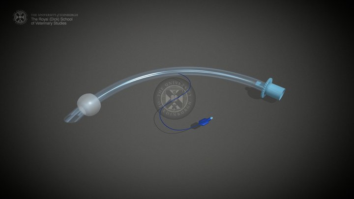 Endotracheal 3D models - Sketchfab