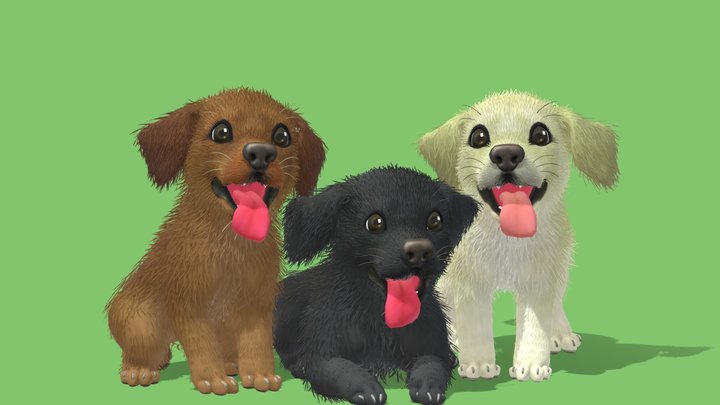 Labrador 3D models - Sketchfab