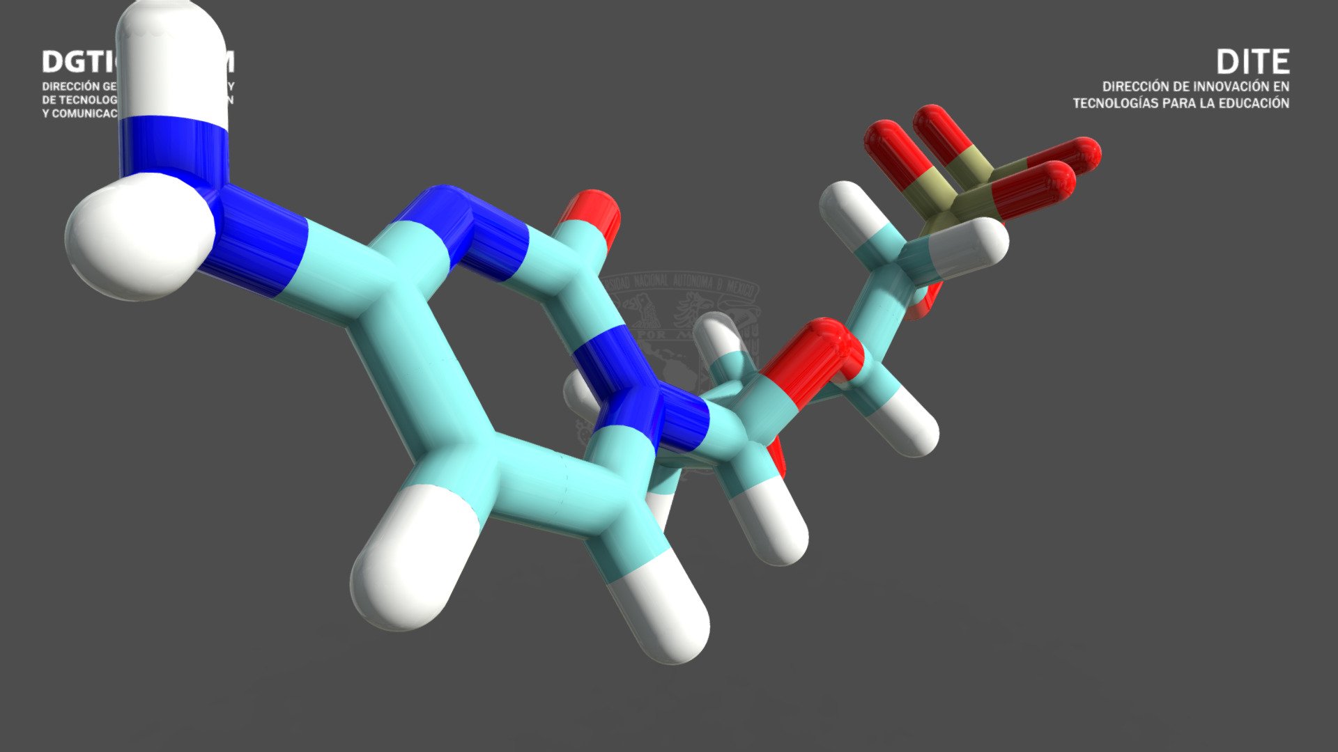 Eve3D Nucleótido Desoxirribonucleótido CDP - 3D model by UNAM | DGTIC ...