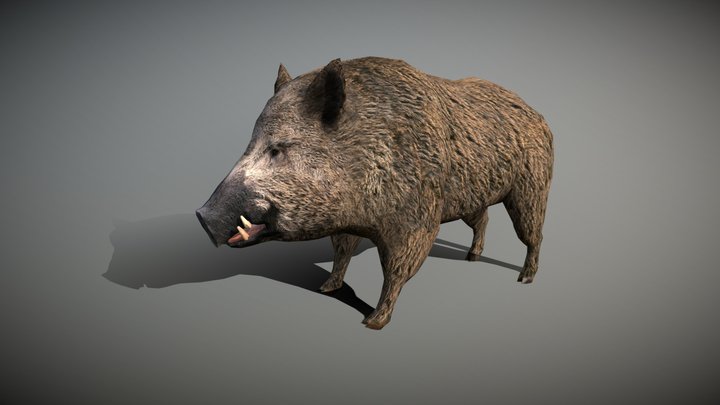 Game-animal 3D models - Sketchfab