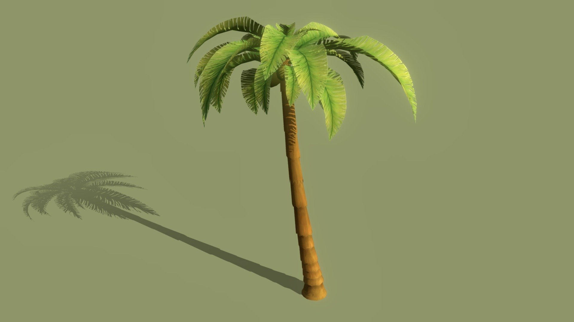 Palm Tree - 3D model by Solear [eba2f02] - Sketchfab