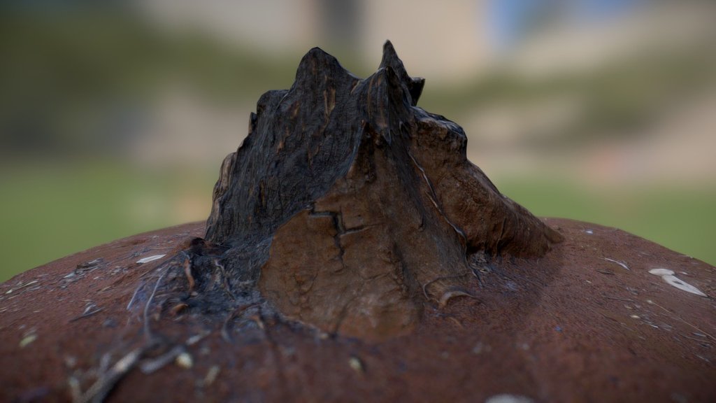 Burnt Stump - Download Free 3D model by Adriano (@dunathan) [eba432d ...