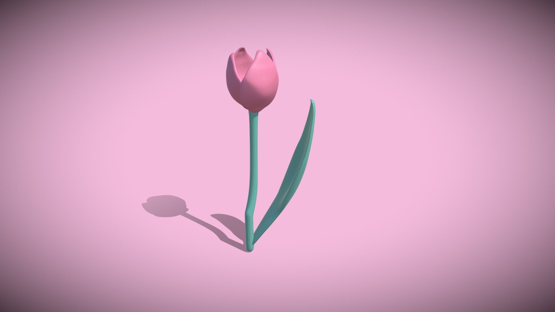 TULP - 3D model by phillvaessen [ebad7eb] - Sketchfab