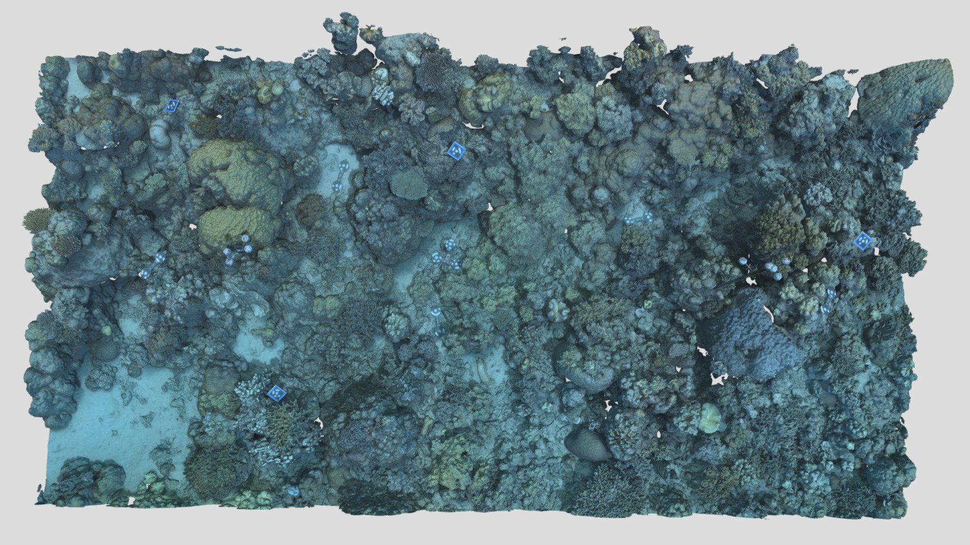 Masig_FL1S_P3_202203 - Download Free 3D model by EcoRRAP (@AIMSEcoRRAP ...