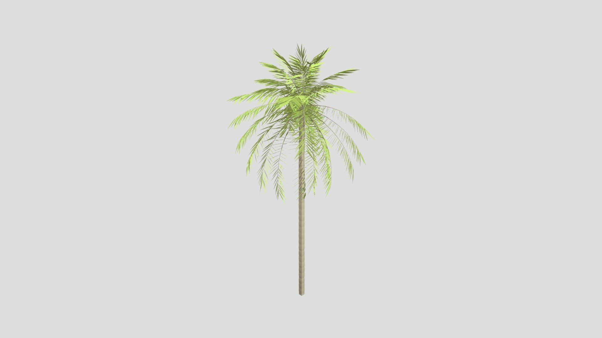 Palm tree - Download Free 3D model by 1-3D.com [ebaeda9] - Sketchfab