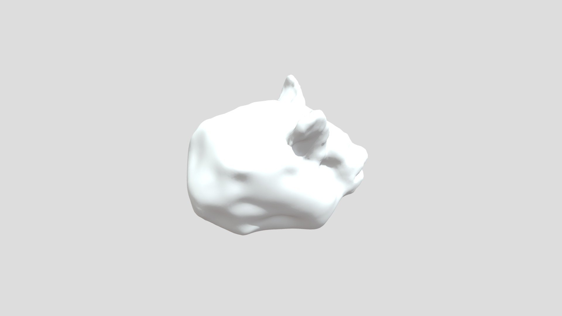 Photogrammetry scan of Live Myotis Daubentonii - 3D model by kav_sdu ...