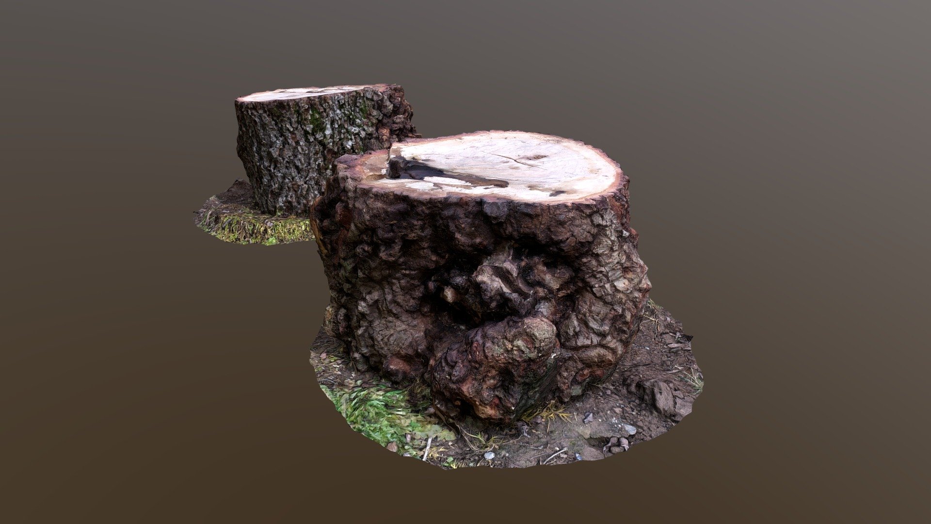 Wood Log Midpoly lowPoly - Download Free 3D model by slls666 [ebb2408 ...