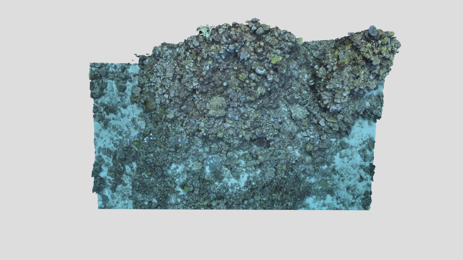 Davies_FR2D_P3_202301 - 3D model by EcoRRAP (@AIMSEcoRRAP) [ebb4bc5 ...