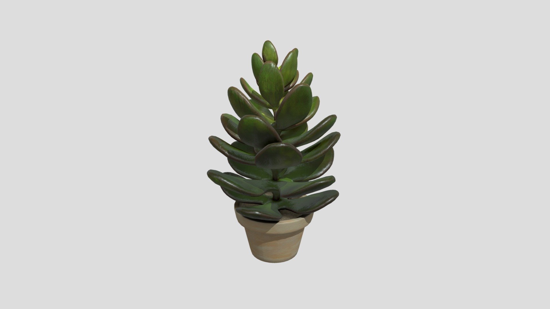 Plant - 3D model by SmirkCat [ebb4bdb] - Sketchfab