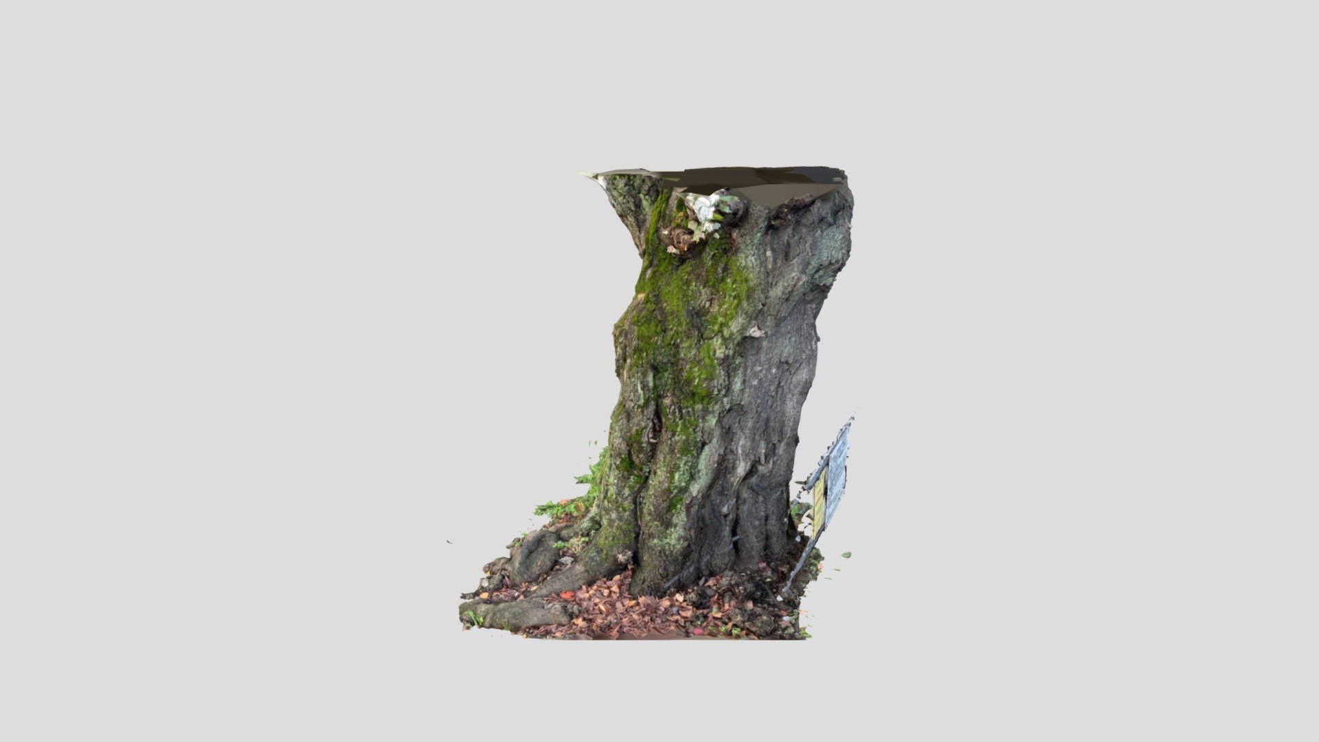 Scan 2022-12-07T15:50:04.750Z - Download Free 3D model by masaaki.vfx ...