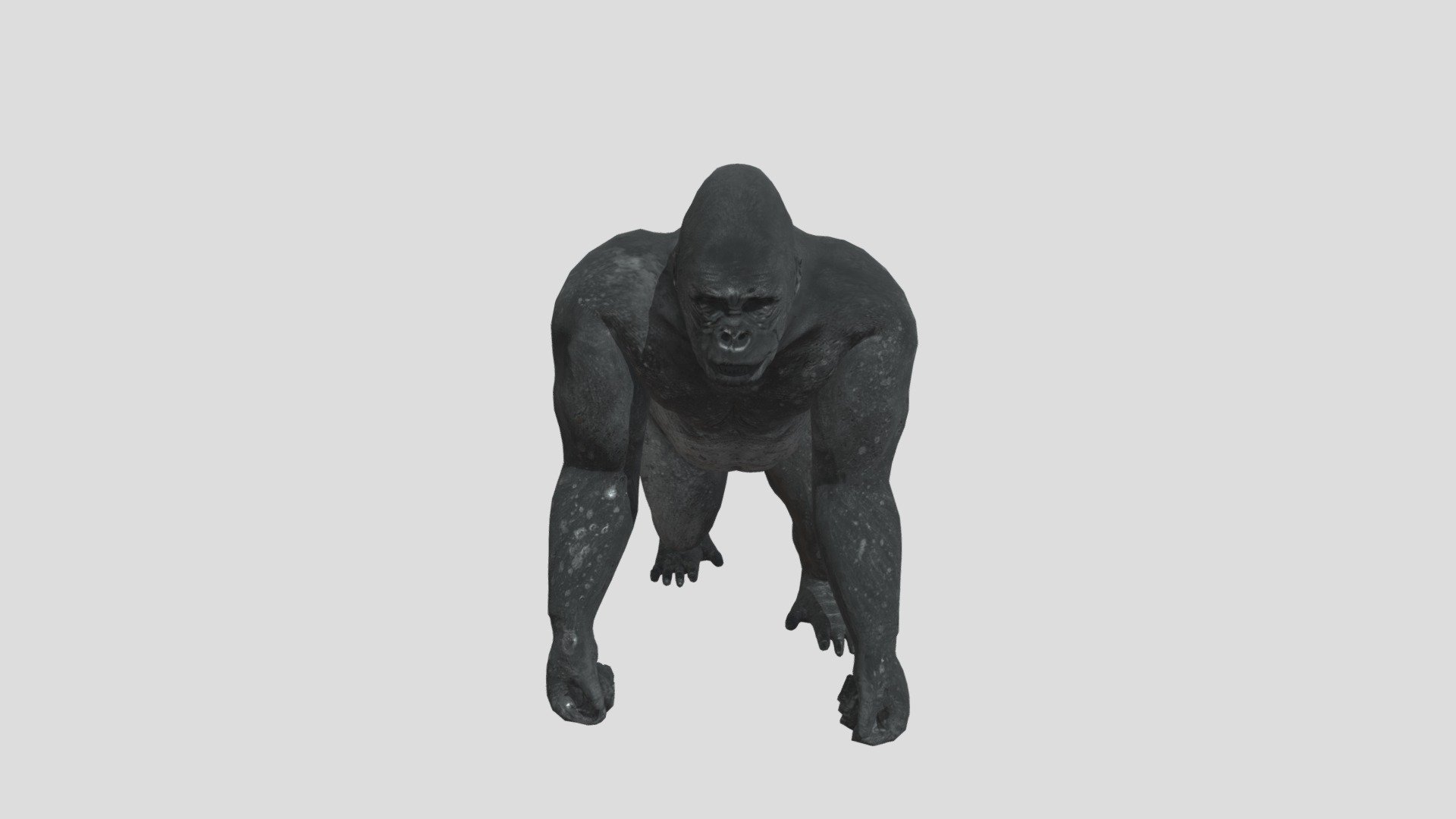 Gorilla - 3D model by jsifuentes17 [ebbc0e0] - Sketchfab