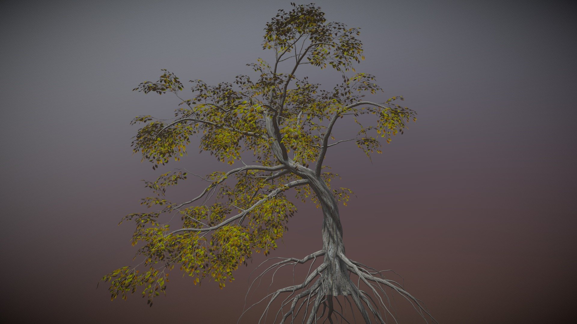 Old Tree Game Ready - 3D model by AgniStudios [ebc6020] - Sketchfab