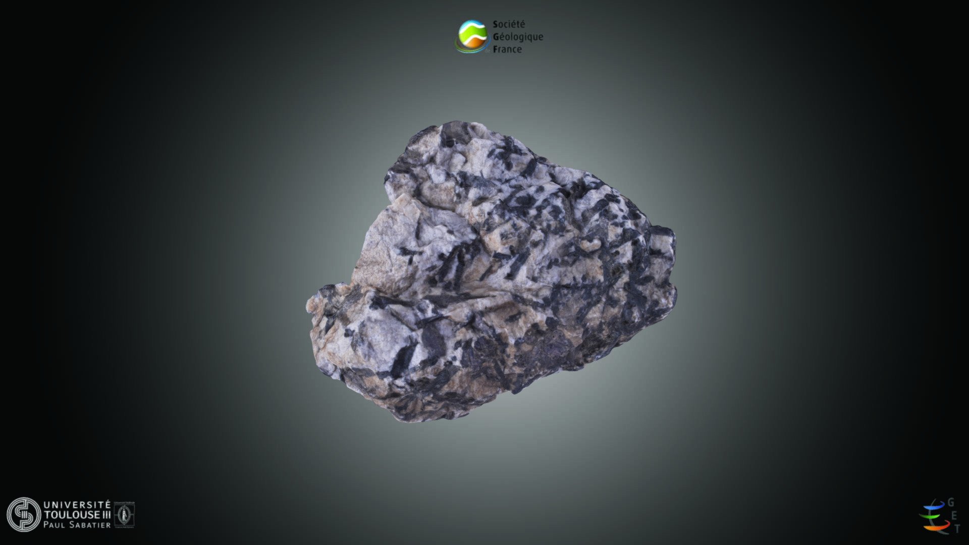 Roche - Pegmatite - Download Free 3D model by Société Géologique de ...