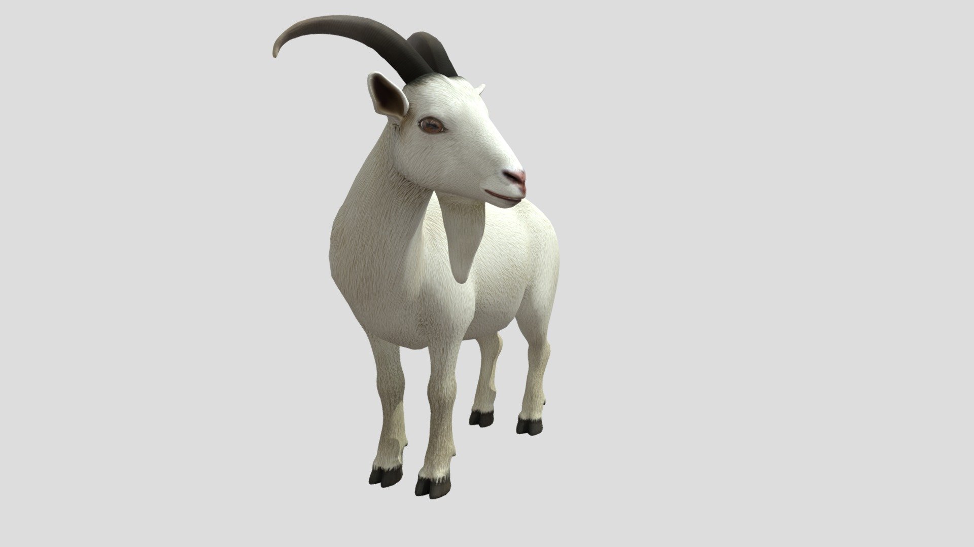 Goat - Download Free 3D model by ann55010970637 [ebdb9da] - Sketchfab