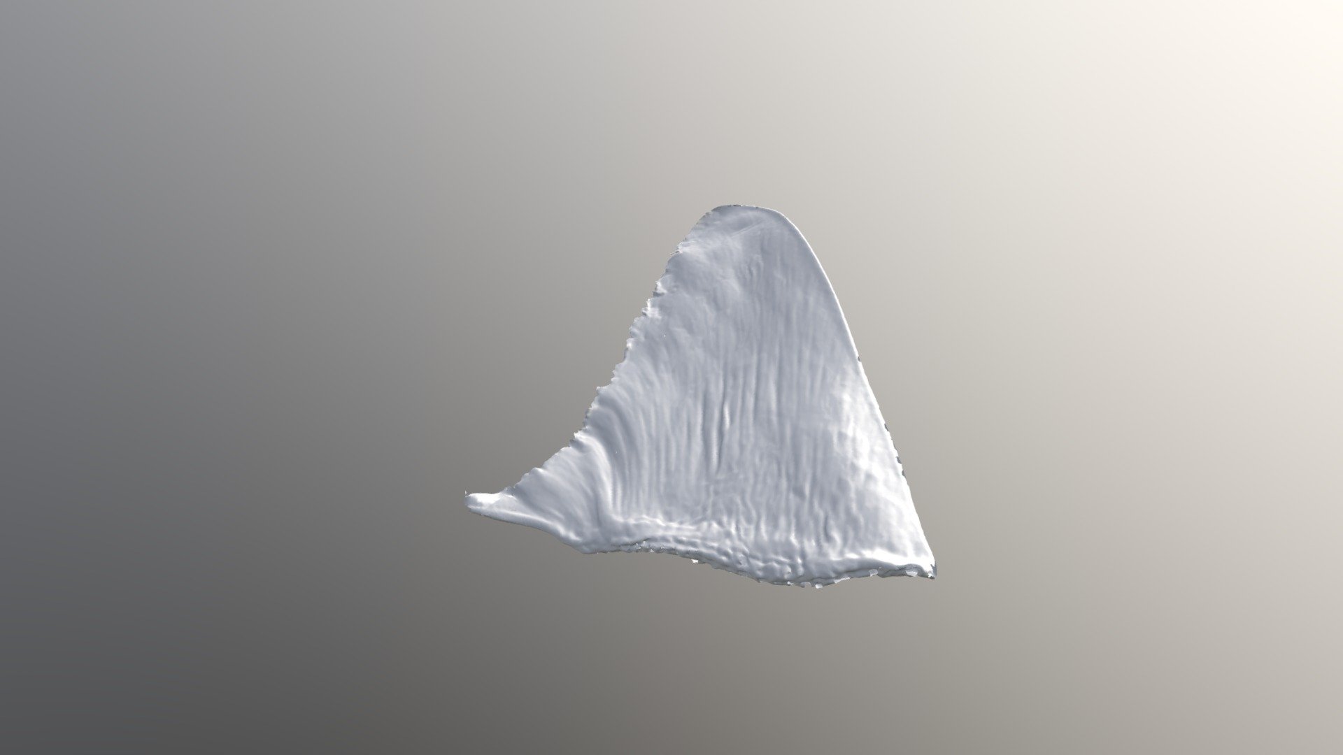 Shark Fin B - 3D model by alexhussain [ebdd3b5] - Sketchfab