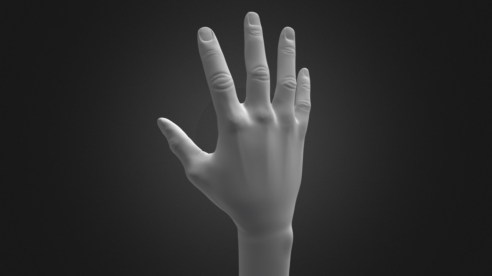 Hand sculpt - 3D model by Micky (@xdchild) [ebdd88c] - Sketchfab