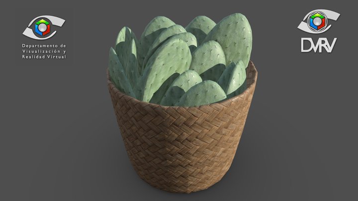 Nopal 3D models - Sketchfab