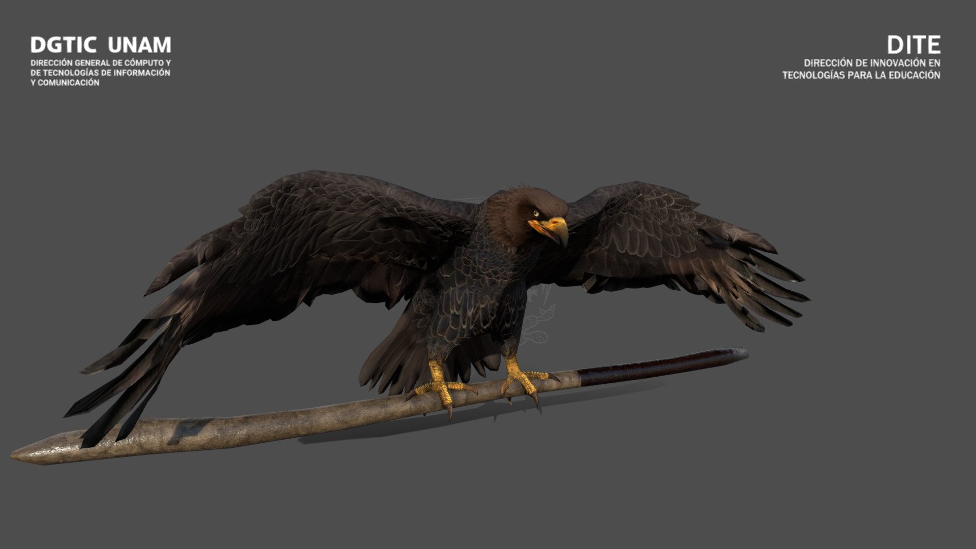 Águila Real - 3D model by UNAM | DGTIC | DITE | DRDE (@DRDE_UNAM ...