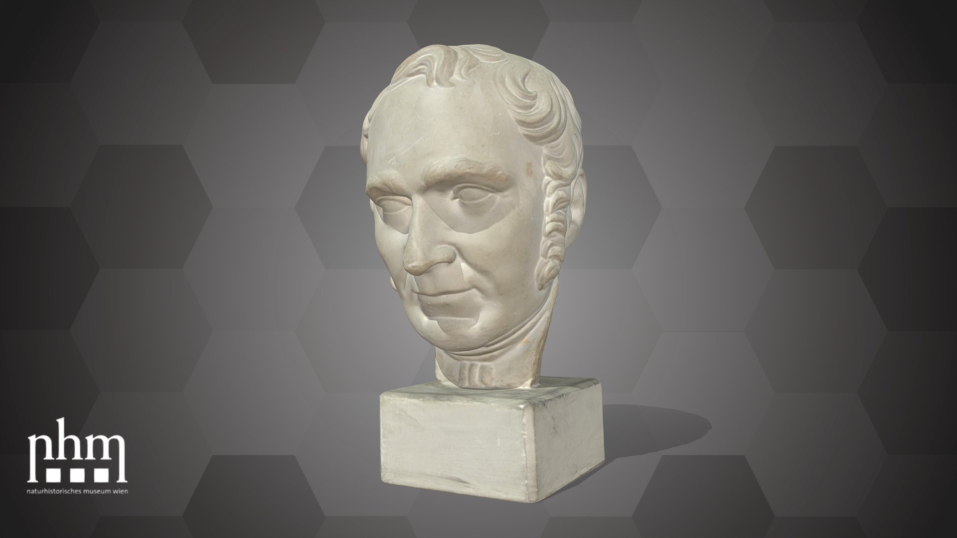 Bust of Johann Natterer (NHMW-AFW-DING-0014) - Download Free 3D model ...