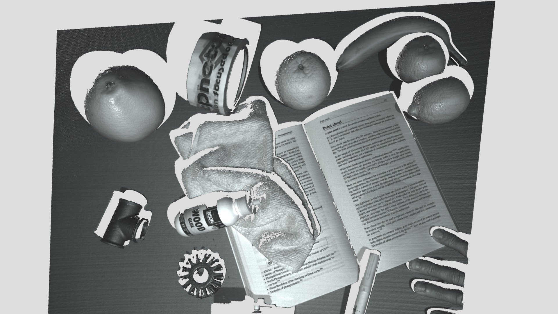 3D Scan: Scene with Fruits and Book - 3D model by Photoneo [ebec113 ...