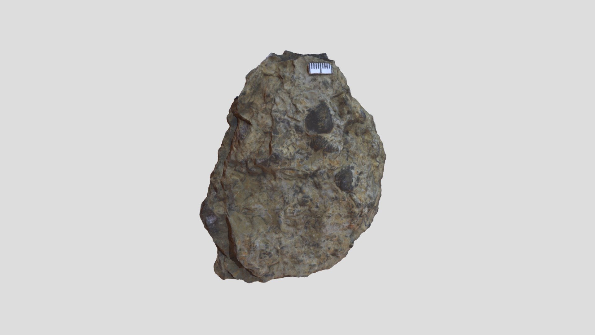 Duplicate: Sample 2 - Download Free 3D model by smithlabdurham [ebee08c ...