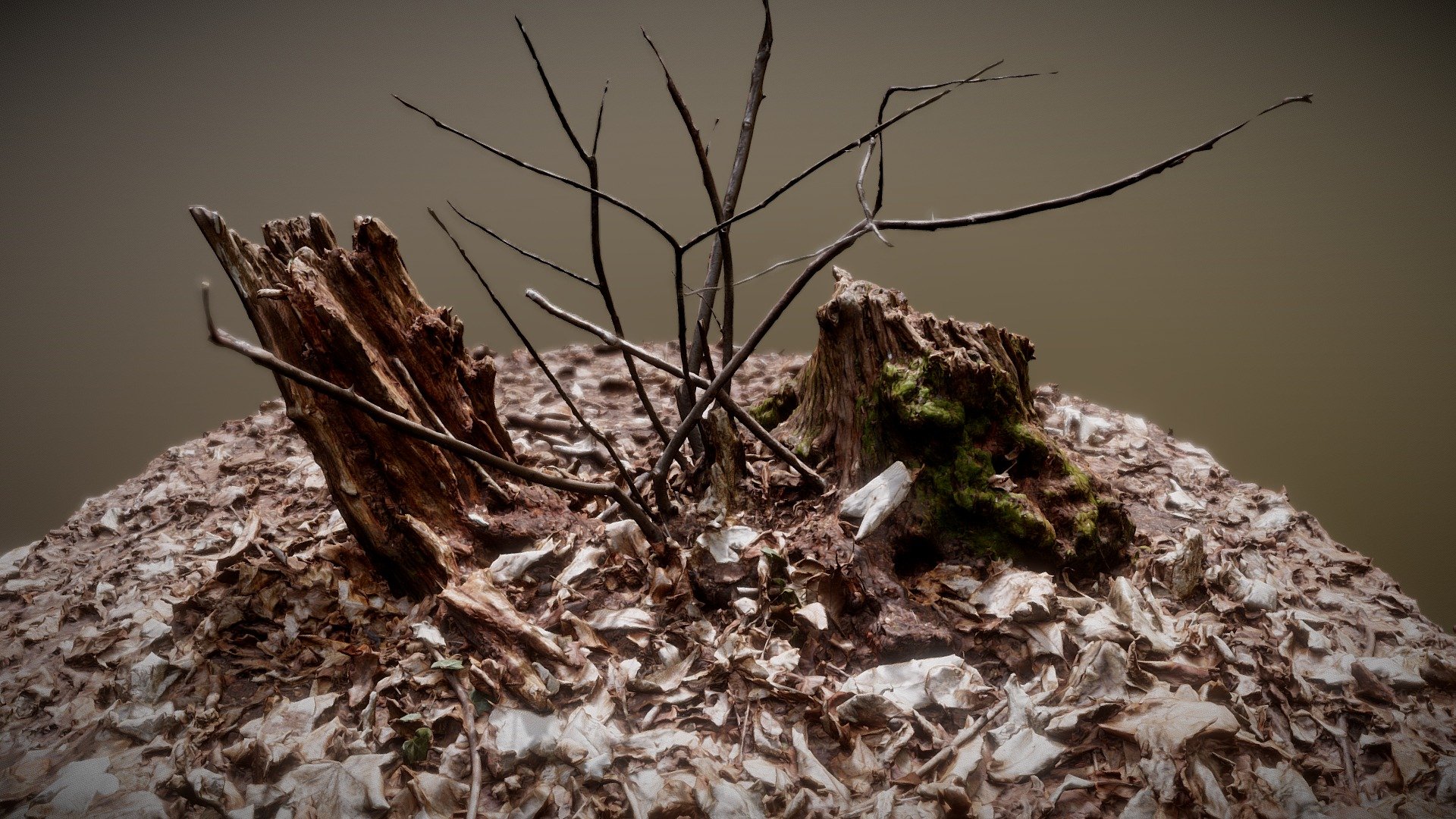 Tree Stumps Twin - 3D model by Kieron Helsdon (@ronski) [ebf35f5 ...