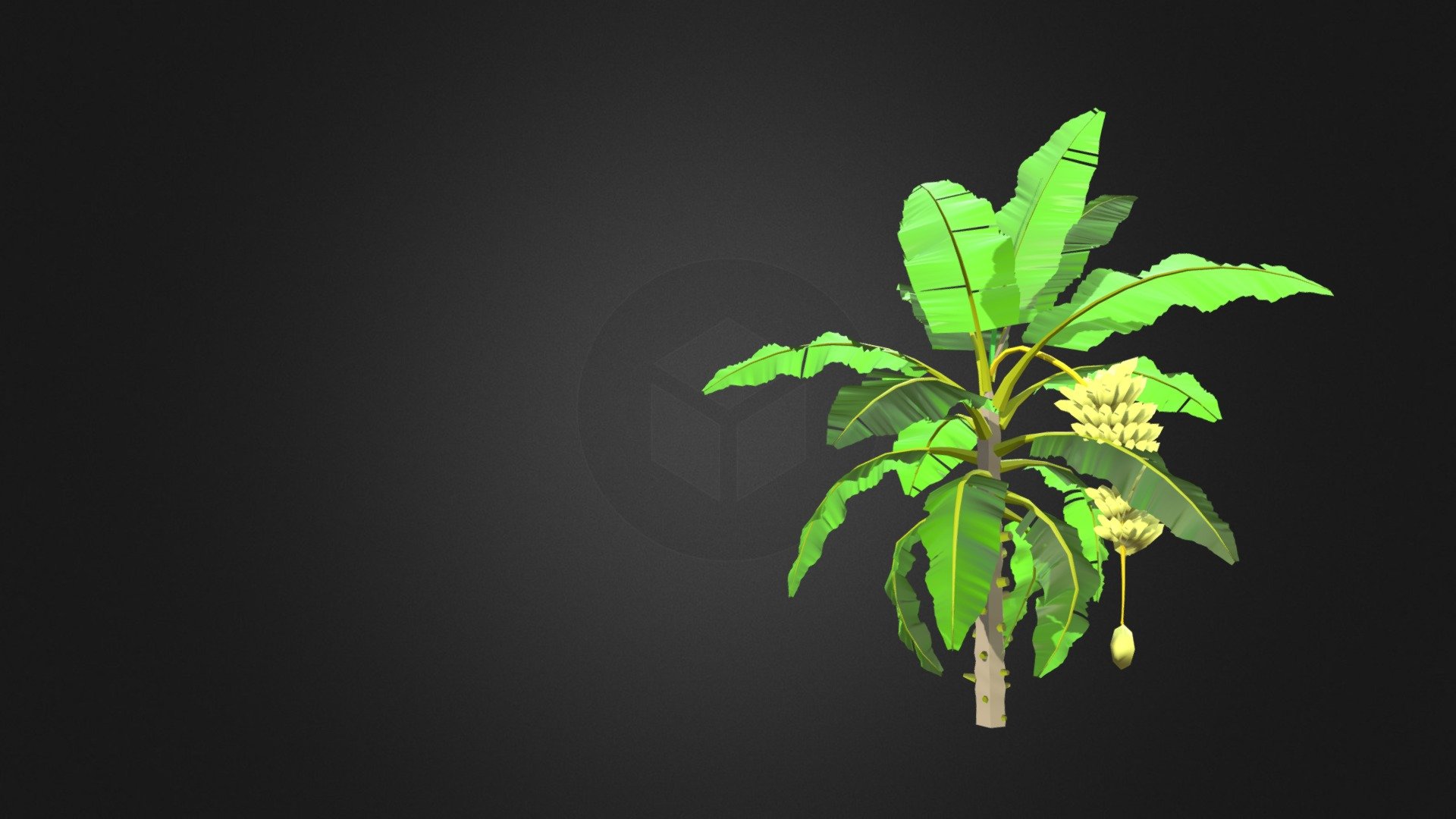 Musa Balbisiana Seed - Download Free 3D model by Hervé Rey (@herve.rey ...