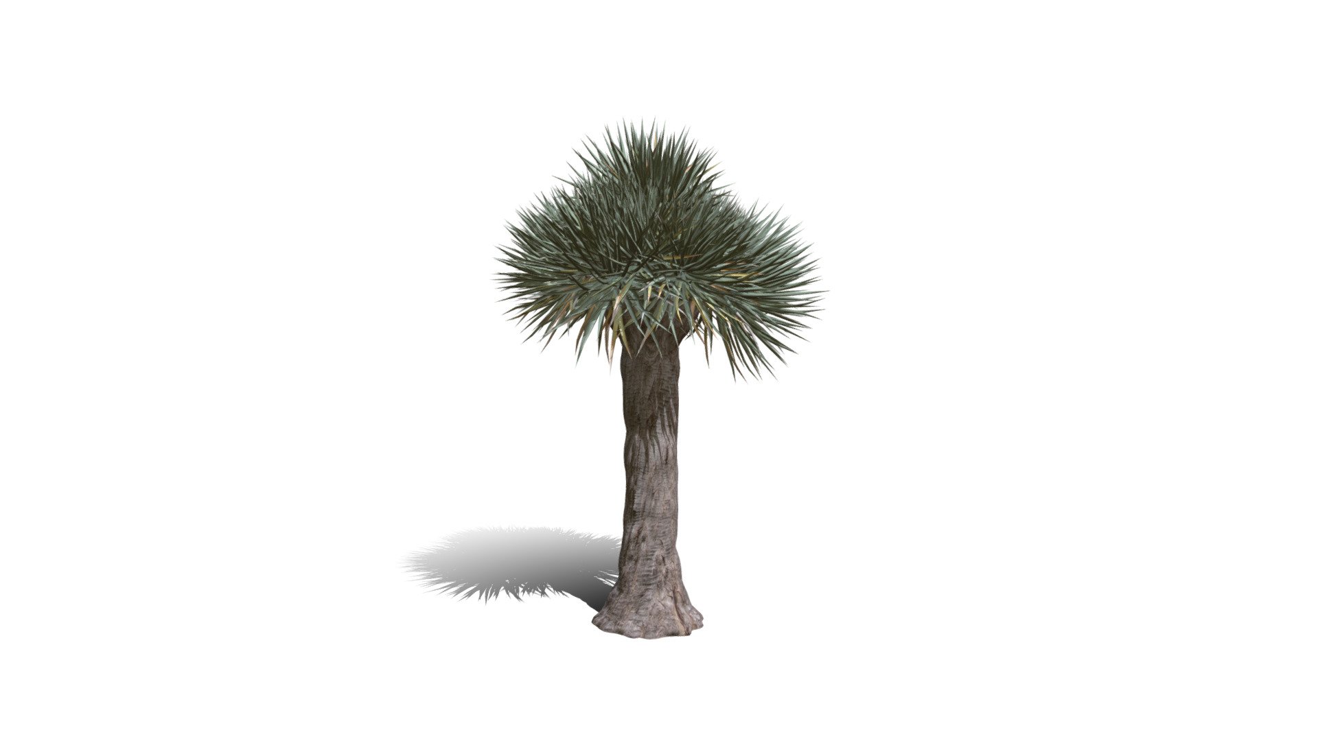 Realistic HD Dragon tree (38/50) - Buy Royalty Free 3D model by ...