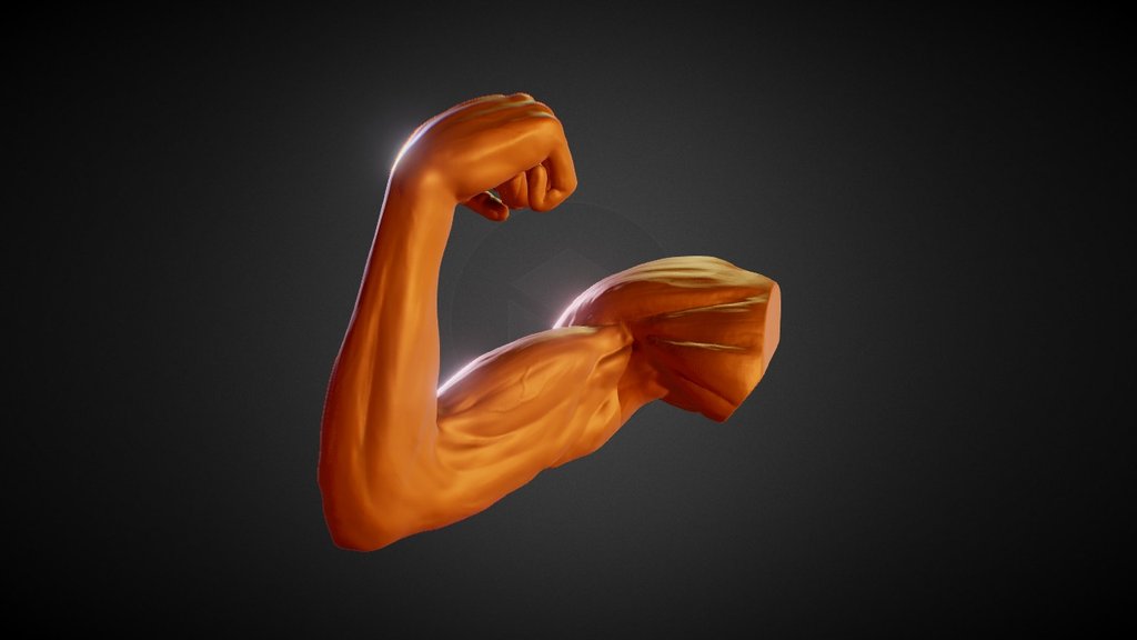 Arm (Day 3 SculptJanuary 2016) - Download Free 3D model by CG Boost ...