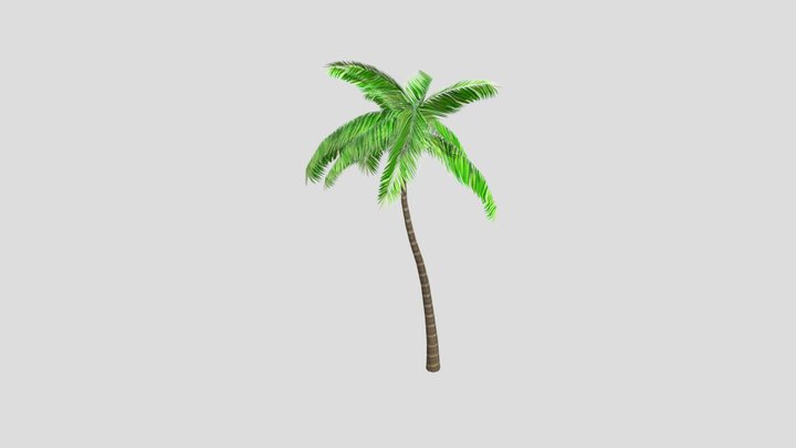 Coconuttree 3D models - Sketchfab