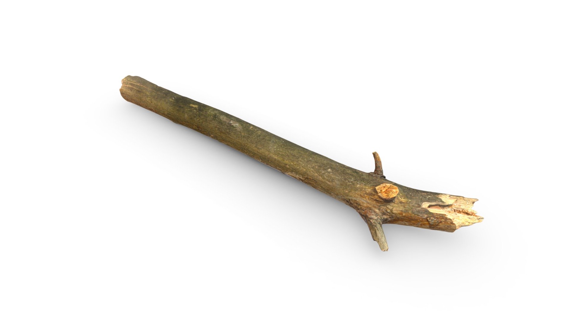 Forest Stick - 3D model by RawCatalog.com (@rawcatalog) [ec075de ...