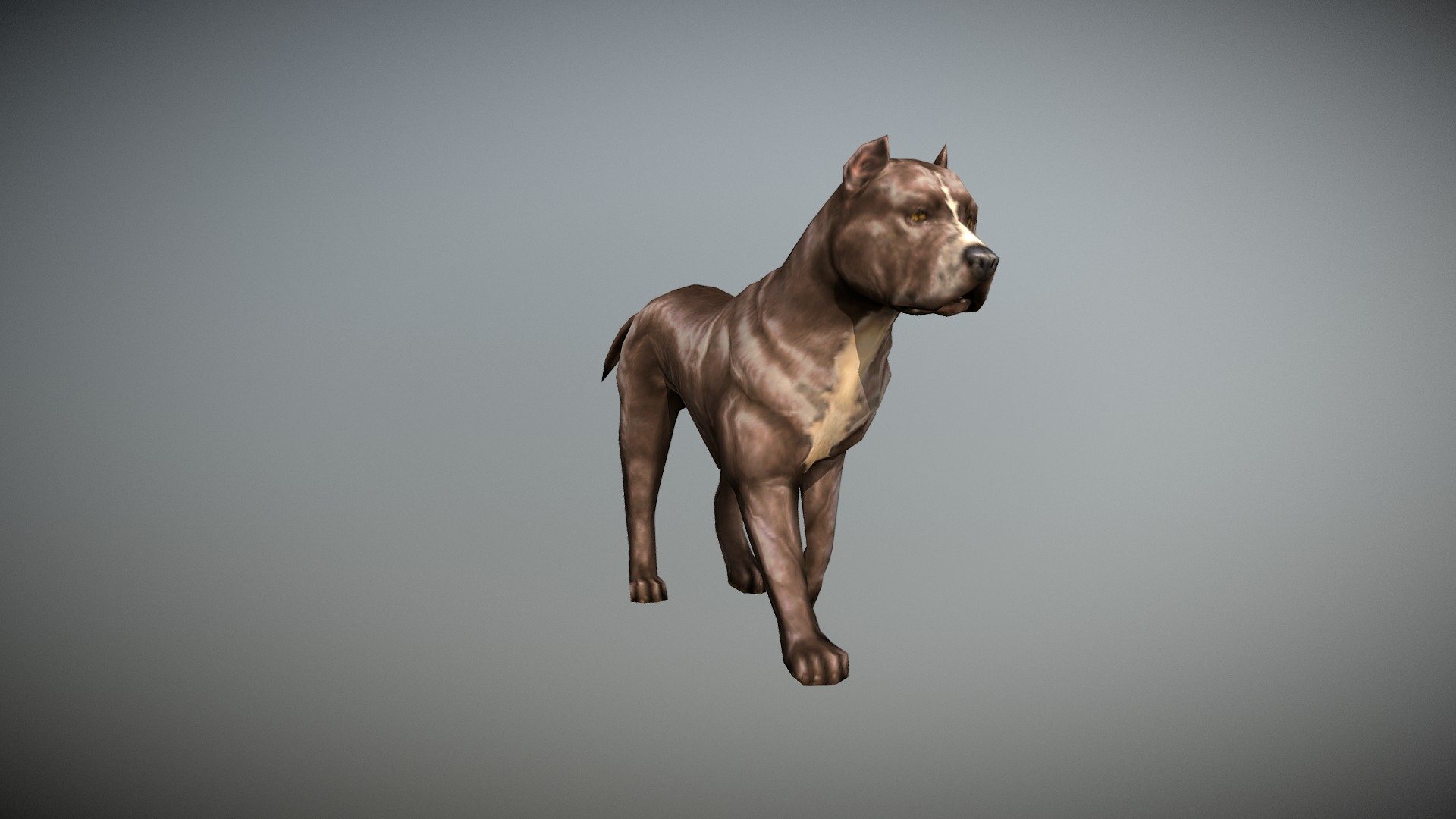 Silver Dog Pet - 3D model by Virtual Realms (@VRCat) [ec106e0] - Sketchfab