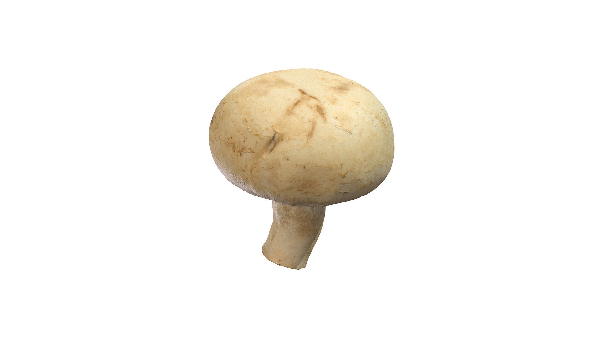 Edible Mushroom - 3D model by RawCatalog.com (@rawcatalog) [ec14c18 ...