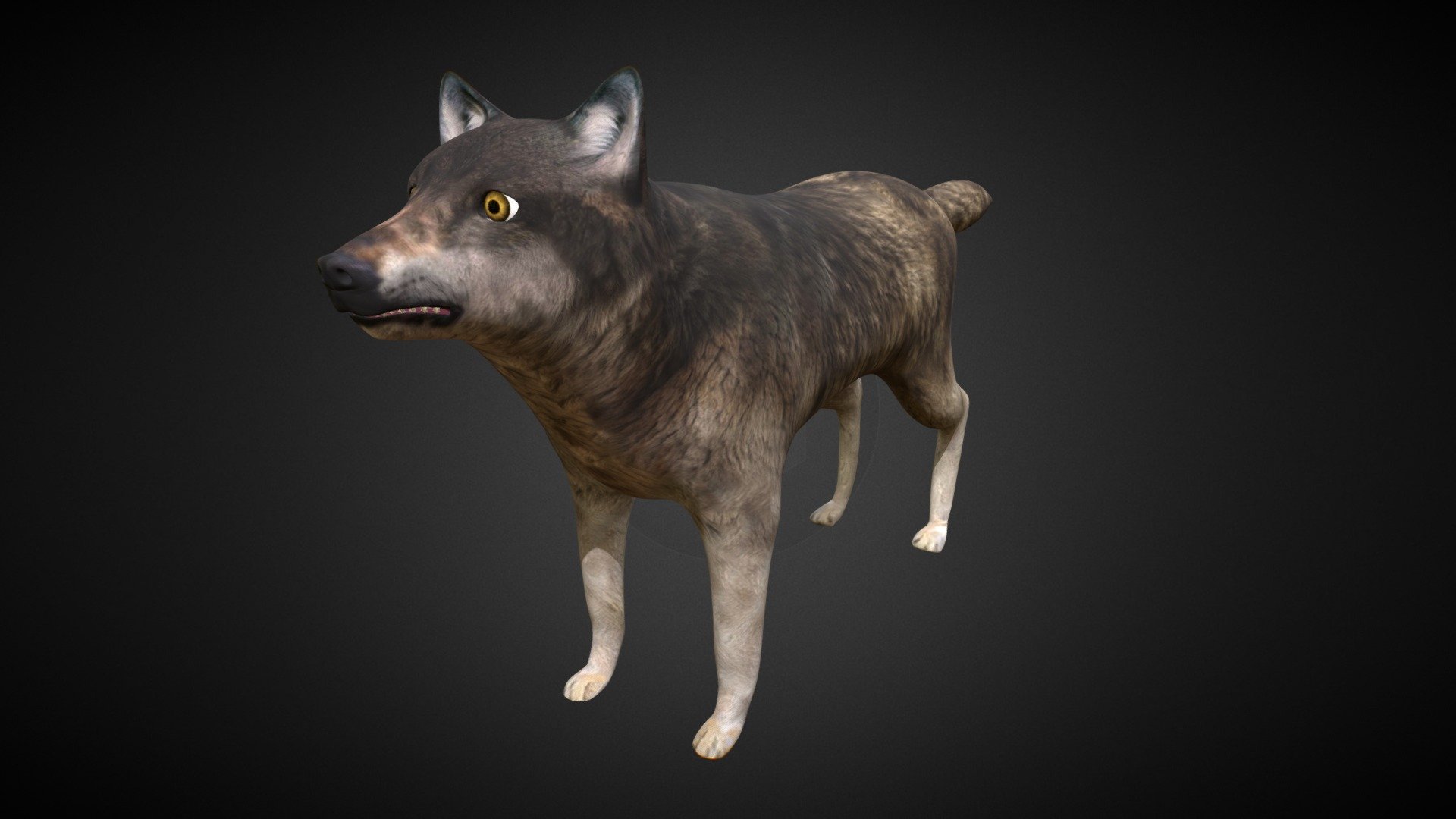 Dog - 3D model by RIGO_STUDIO [ec24e65] - Sketchfab
