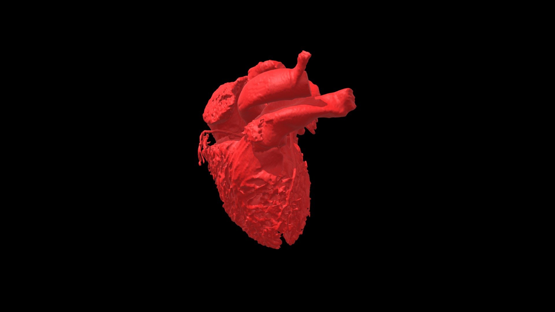 Adult Blood Volume Heart Model- Heart0096 - Download Free 3D model by ...