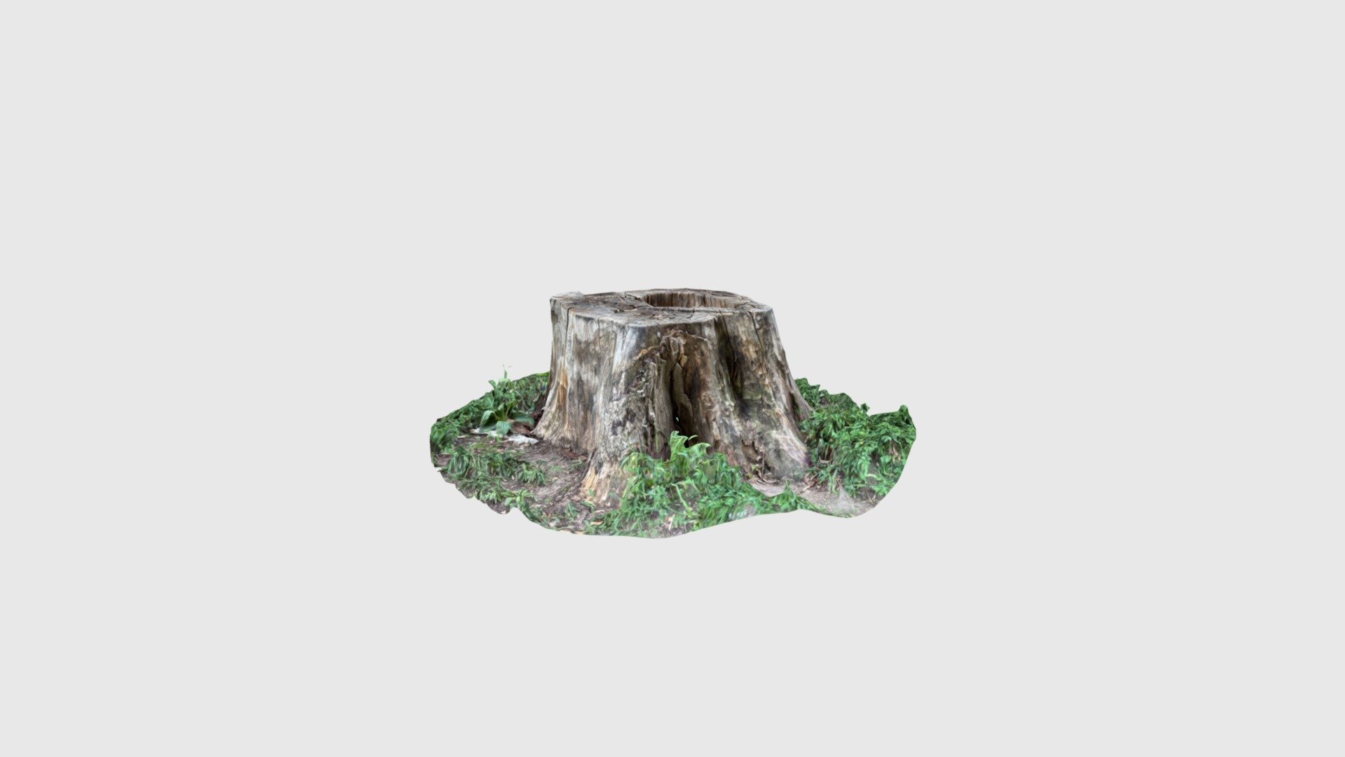 Stump - Download Free 3D model by bj (@bj0ke) [ec2d252] - Sketchfab