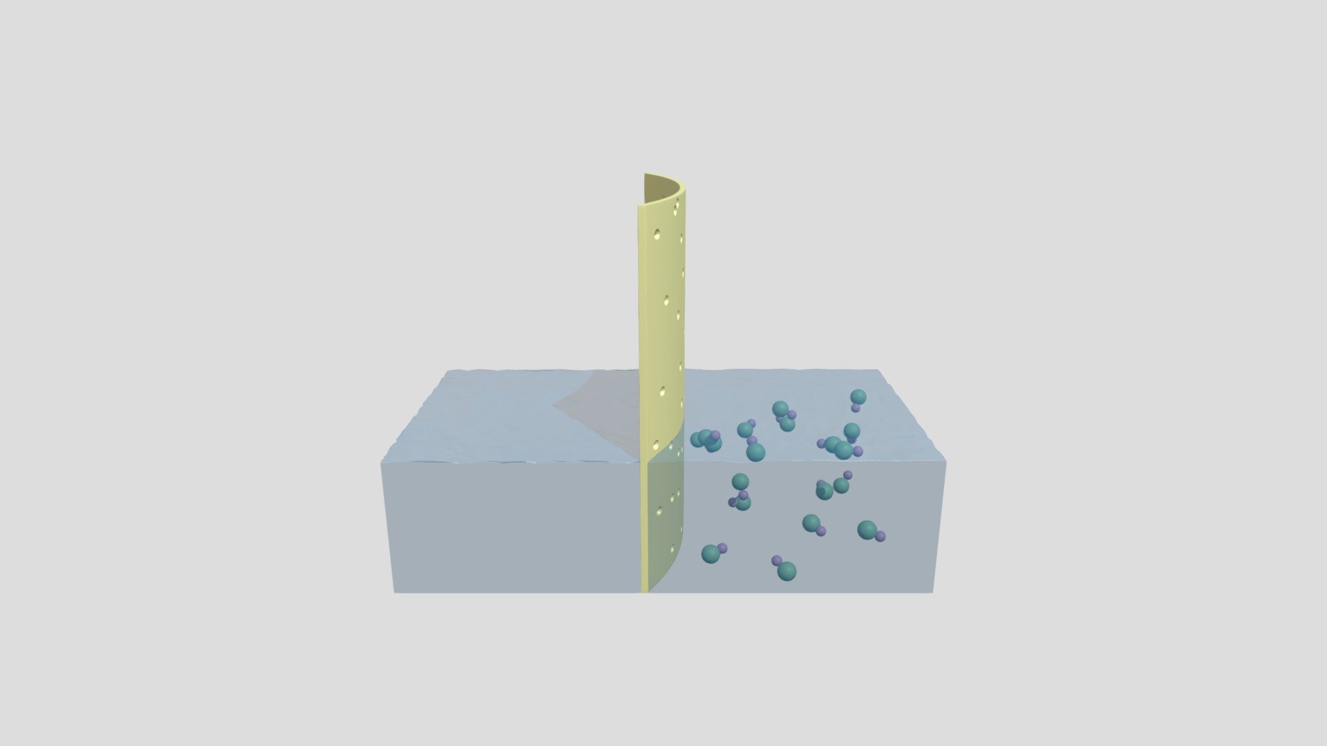 To Understand The Principle Of Osmosis - 3D model by ...
