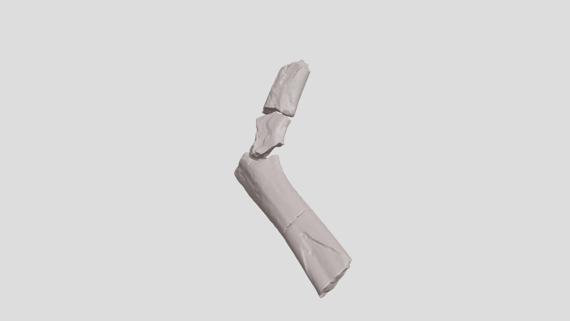 Kimmeridgian Testudines scapula - 3D model by Edgar Mulder ...