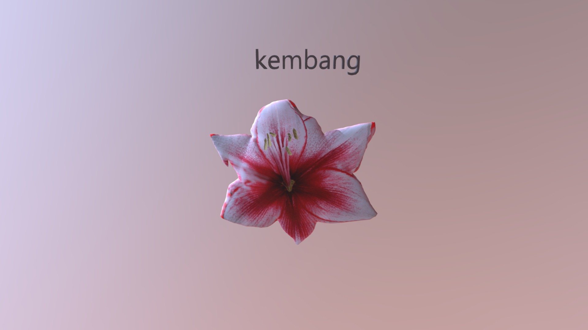 Bunga 1 - 3D model by rusnim65 [ec36646] - Sketchfab