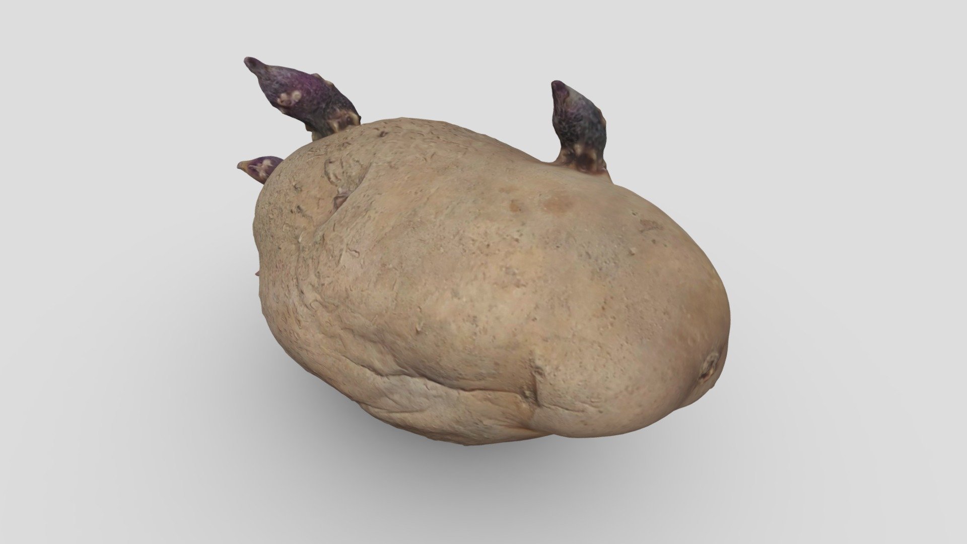 Sprouted Potato - 3D model by LR-Scans (@lrscans) [ec3b80d] - Sketchfab
